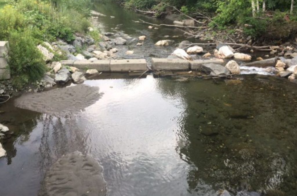 Projects – Page 3 – Free VT Rivers